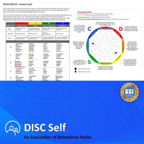 DISC & Behavioral Assessments - ActionCOACH Newcastle